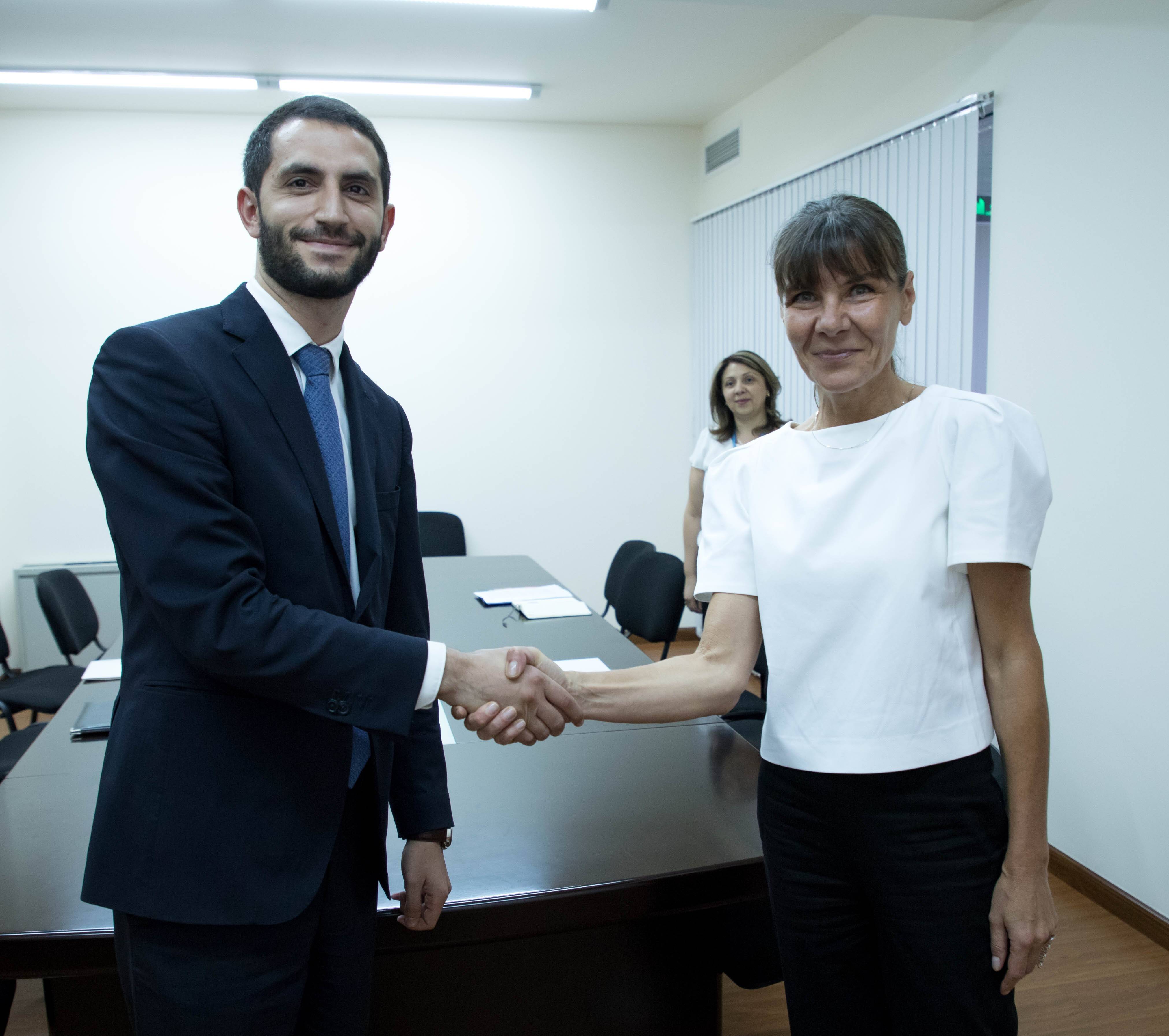 Meeting of Deputy Foreign Minister Ruben Rubinyan with the newly ...