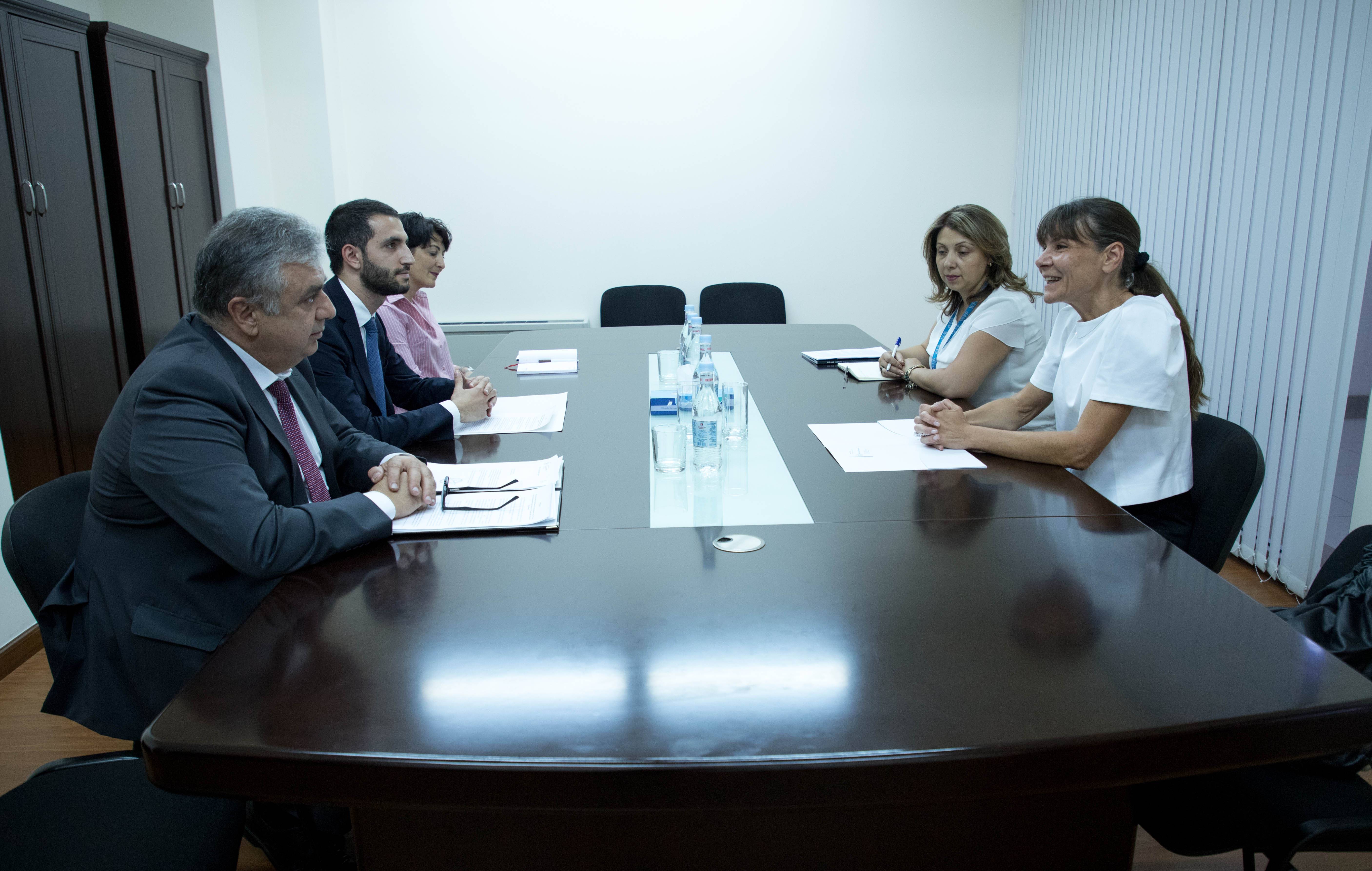 Meeting of Deputy Foreign Minister Ruben Rubinyan with the newly ...