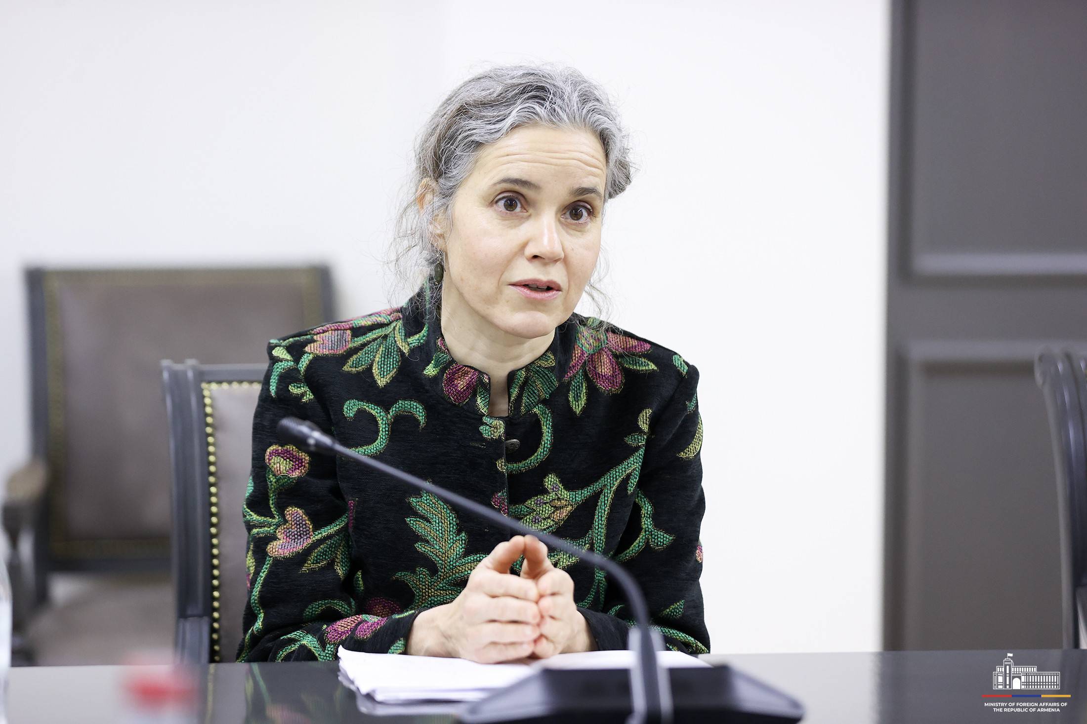 Meeting of the Minister of Foreign Affairs of Armenia with the EU ...