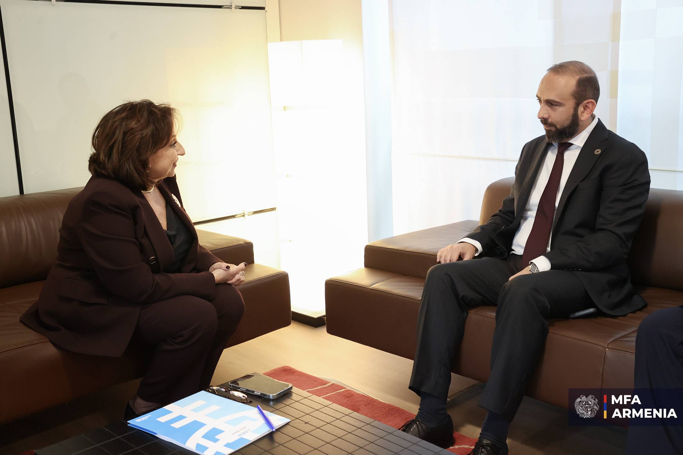 Meeting of the Foreign Minister of Armenia with the UN Women Executive ...